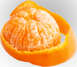 Sunkist | Our Citrus