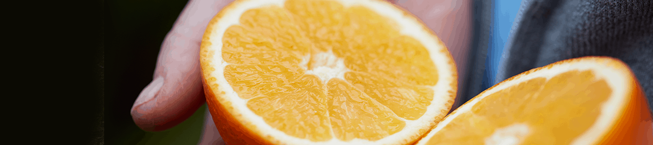 Tangelo Orange Nutrition Facts | Besto Blog