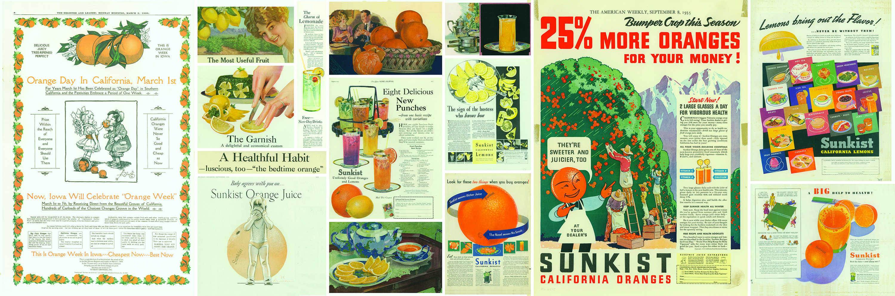 Sunkist | Licensed Products