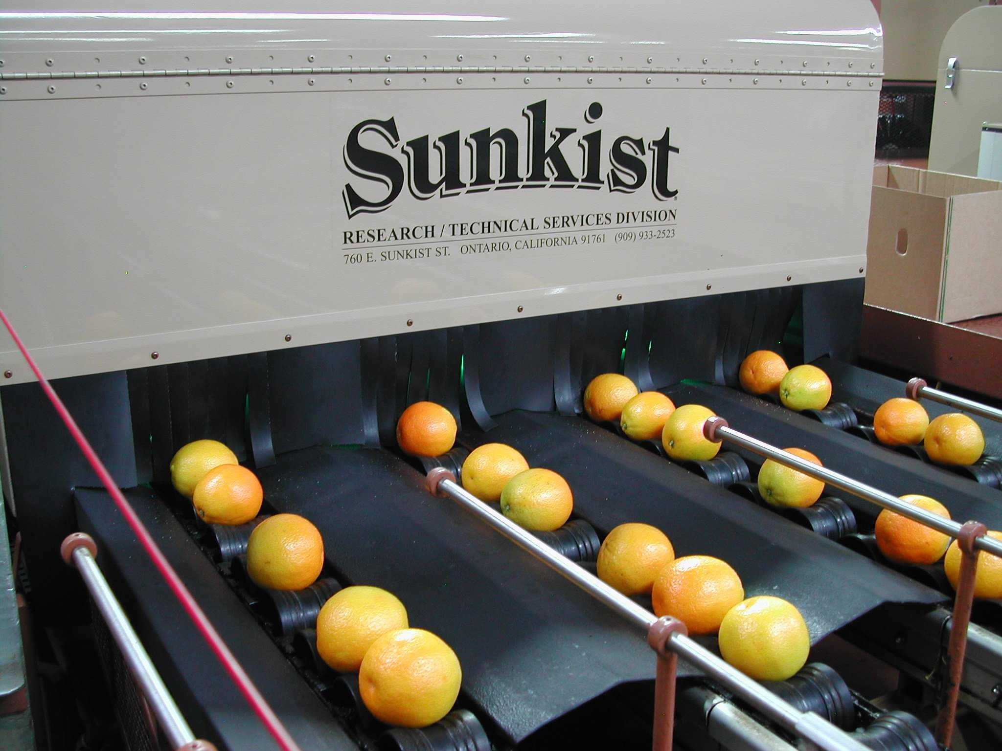 Sunkist | Packinghouse Equipment and Service