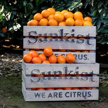 Join Our Team | Sunkist