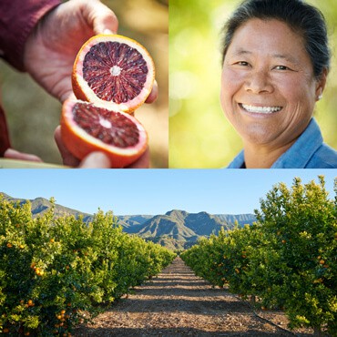 Join Our Team | Sunkist